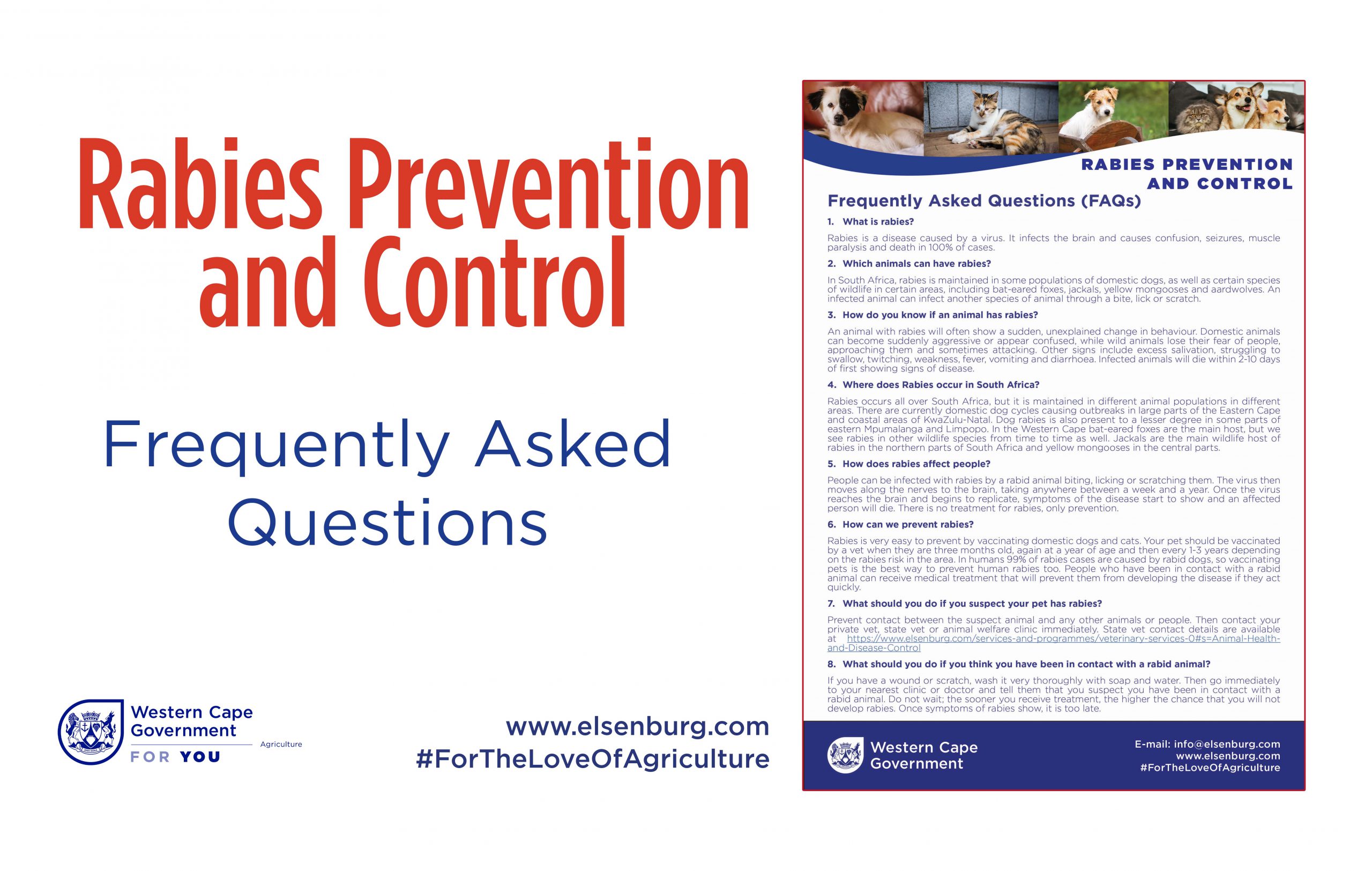 Rabies Prevention and Control - FAQs - Western Cape Department of ...