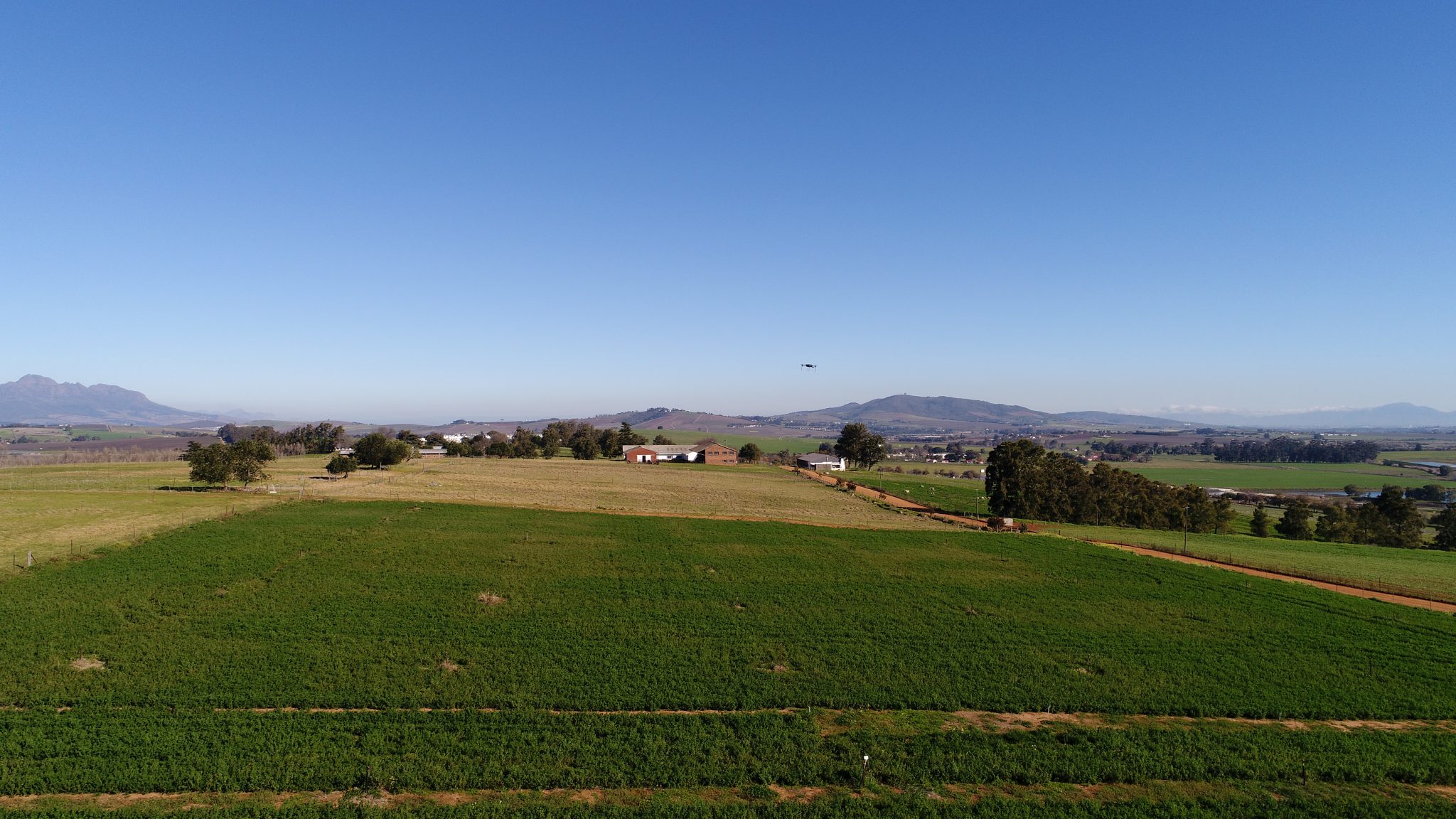 Elsenburg Research Farm - Western Cape Department of Agriculture