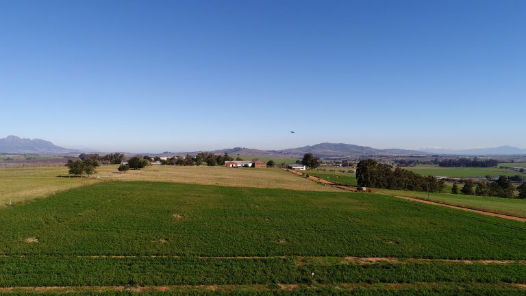 Elsenburg Research Farm – Western Cape Department of Agriculture