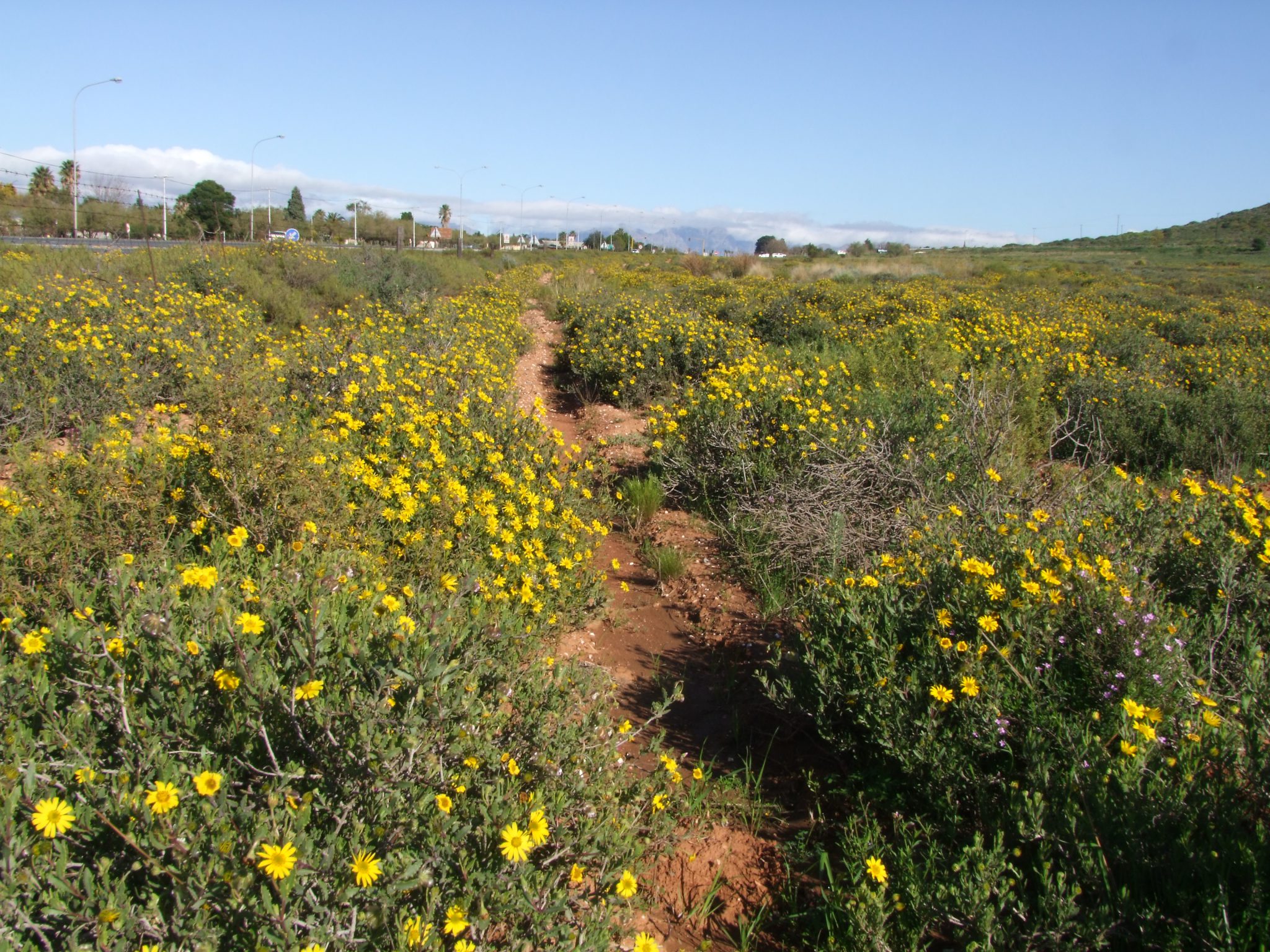 Nortier Research Farm – Western Cape Department of Agriculture