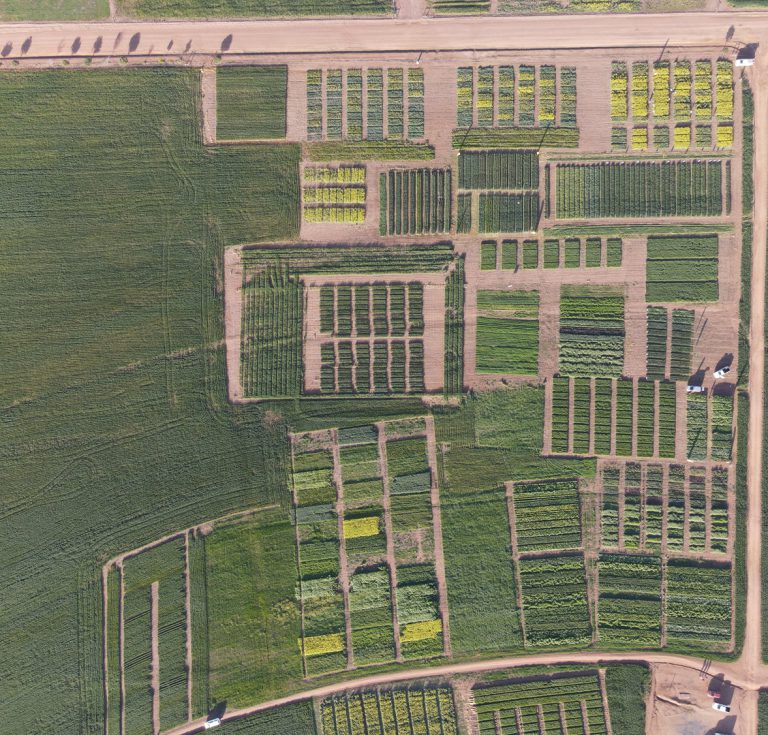 Research Farms – Western Cape Department of Agriculture