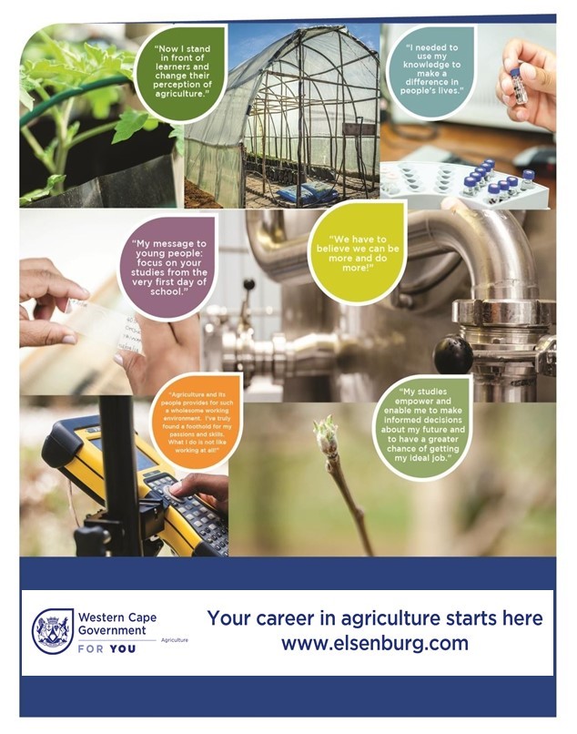 External Development Initiatives (EDI) - Western Cape Department of ...