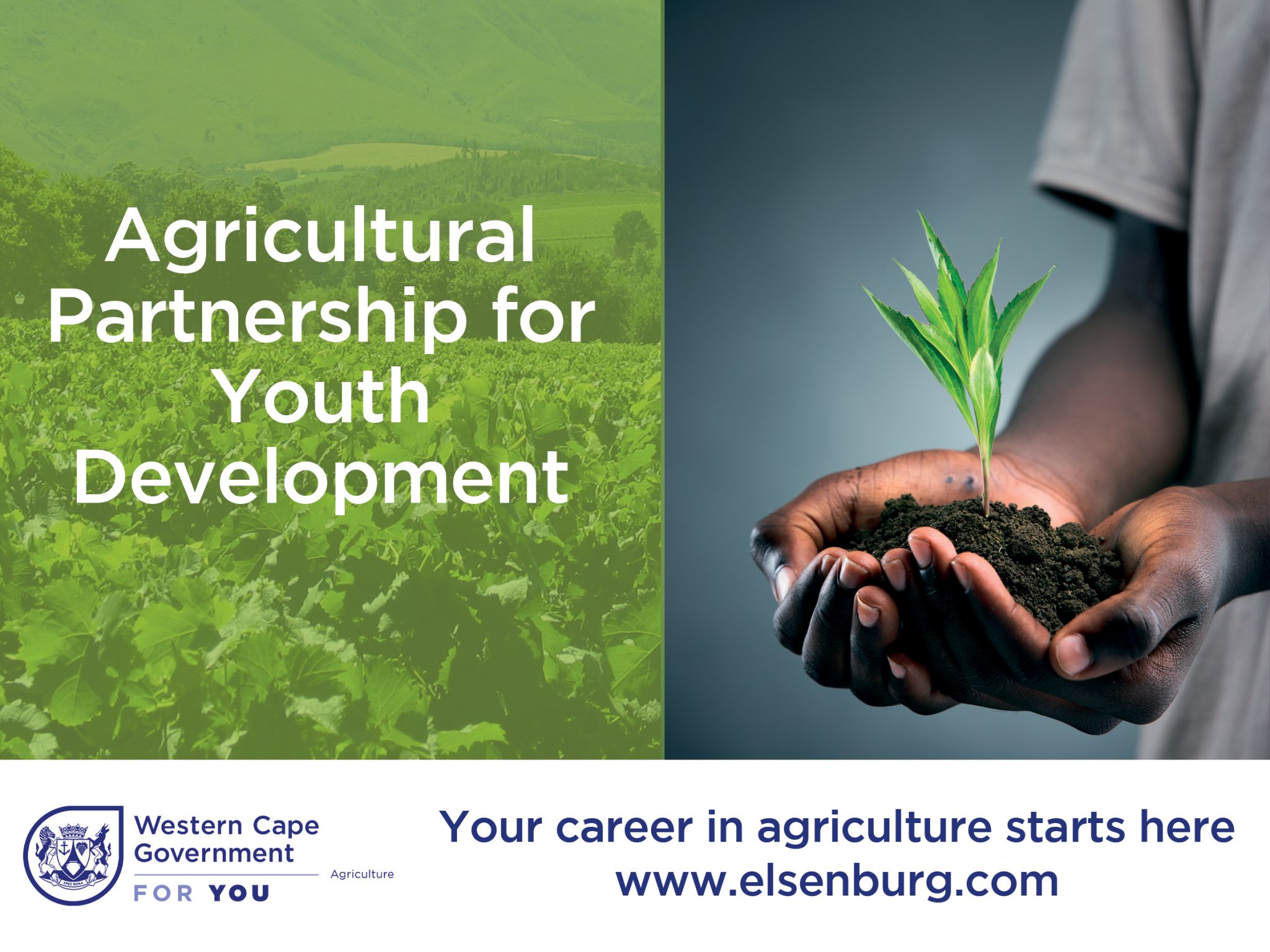 External Development Initiatives (EDI) - Western Cape Department of ...