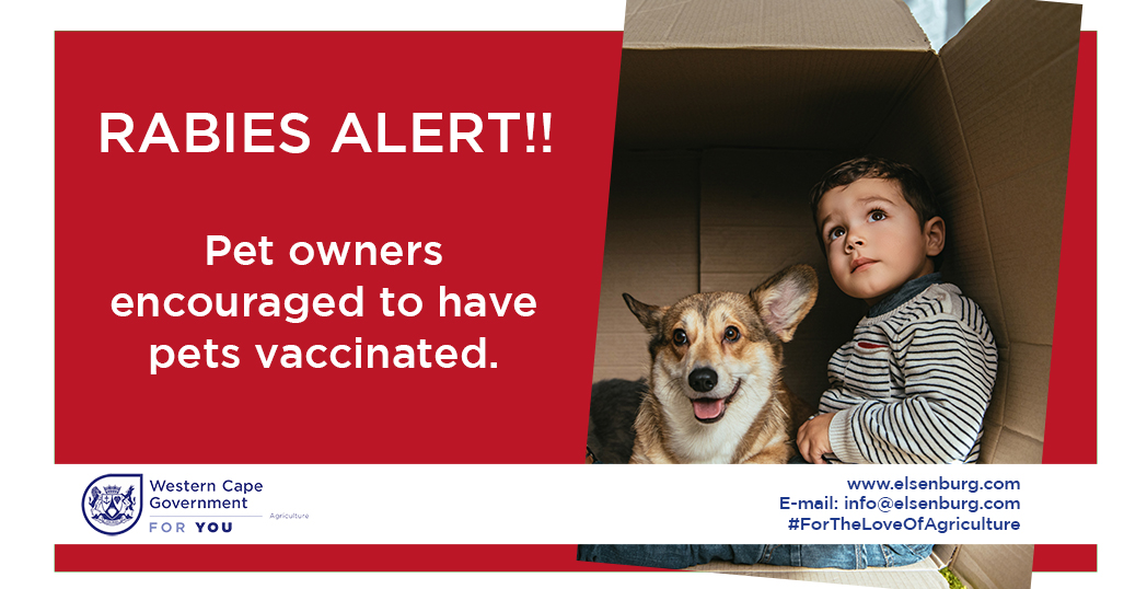 Rabies Confirmed in Strand - Pet owners encouraged to have pets ...