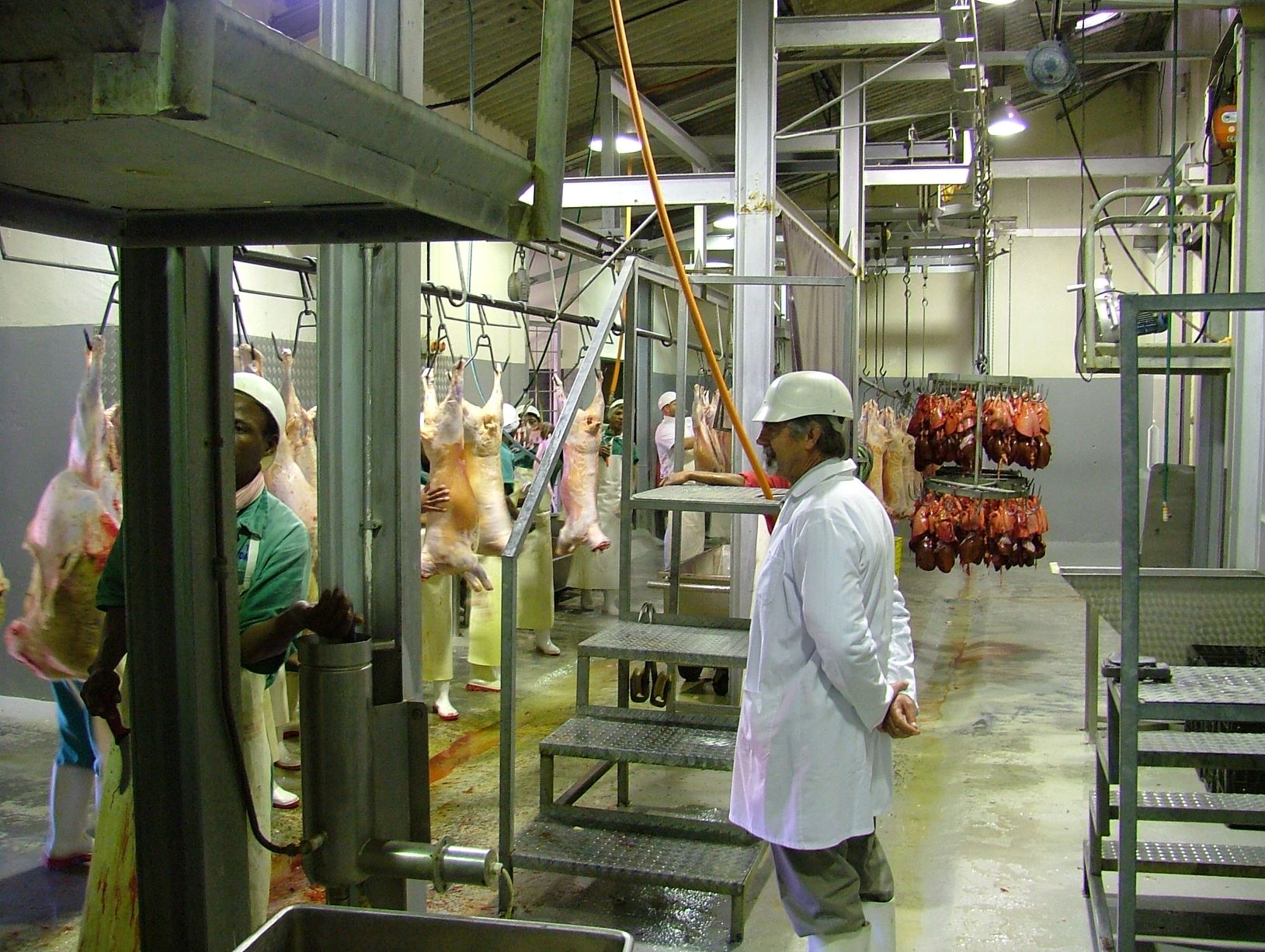Food Safety is everyone’s business – Western Cape Department of Agriculture