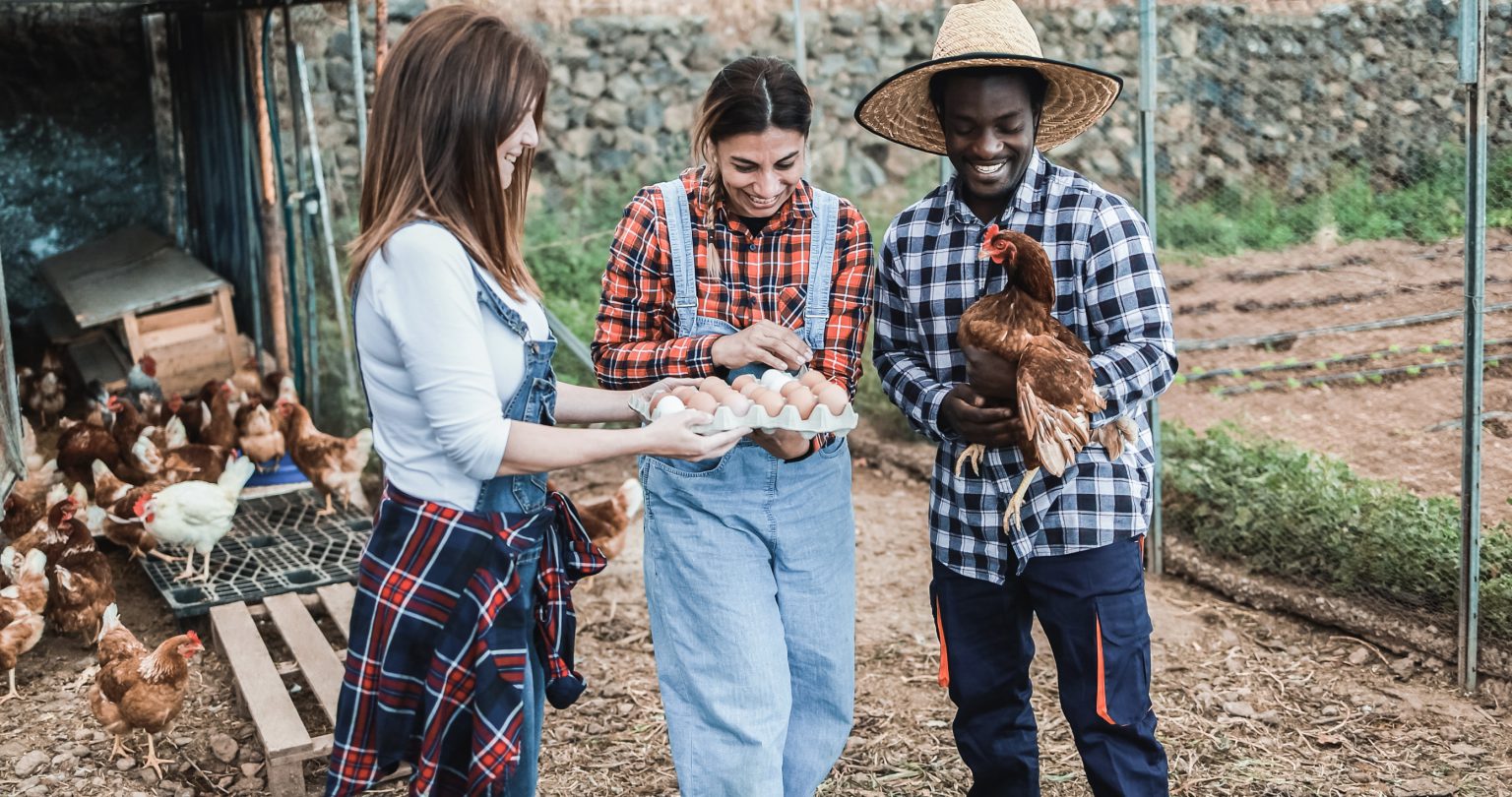 Agricultural Producer Support and Development - Western Cape Department ...