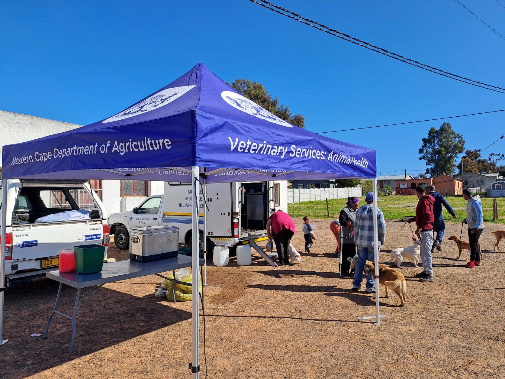 Western Cape Vets vaccinate 18 000 dogs during Rabies Awareness ...
