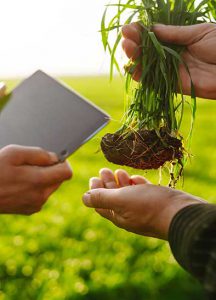 Elsenburg College - Western Cape Department of Agriculture