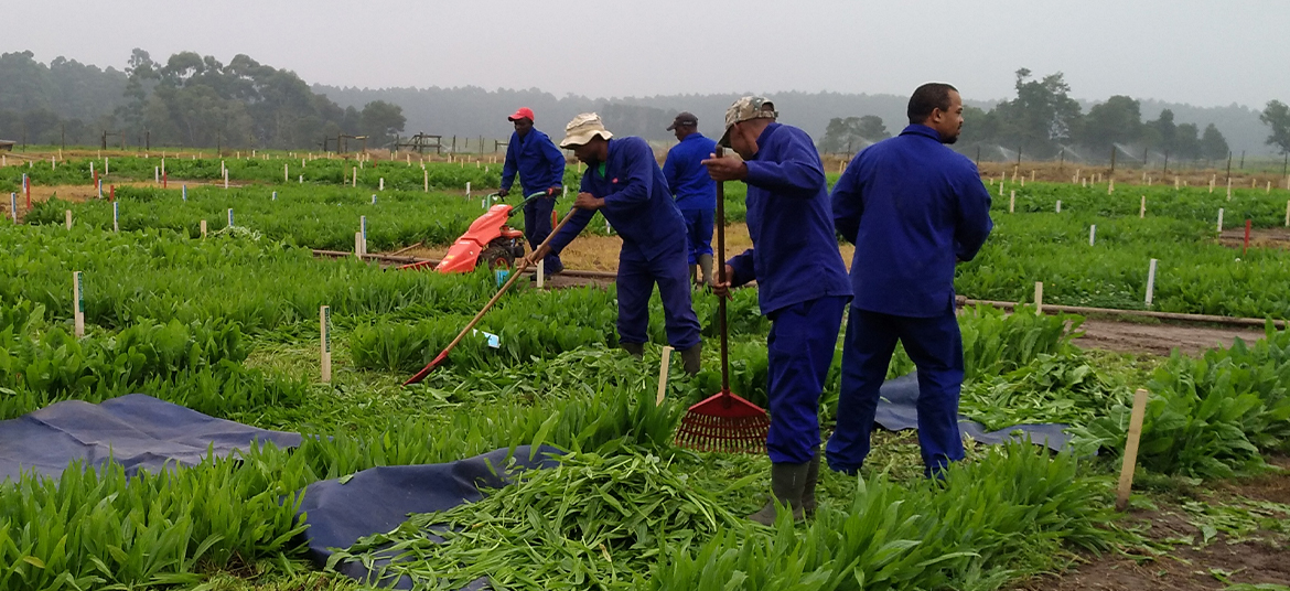 Skilled workers are central to the sustainability of the Agricultural ...