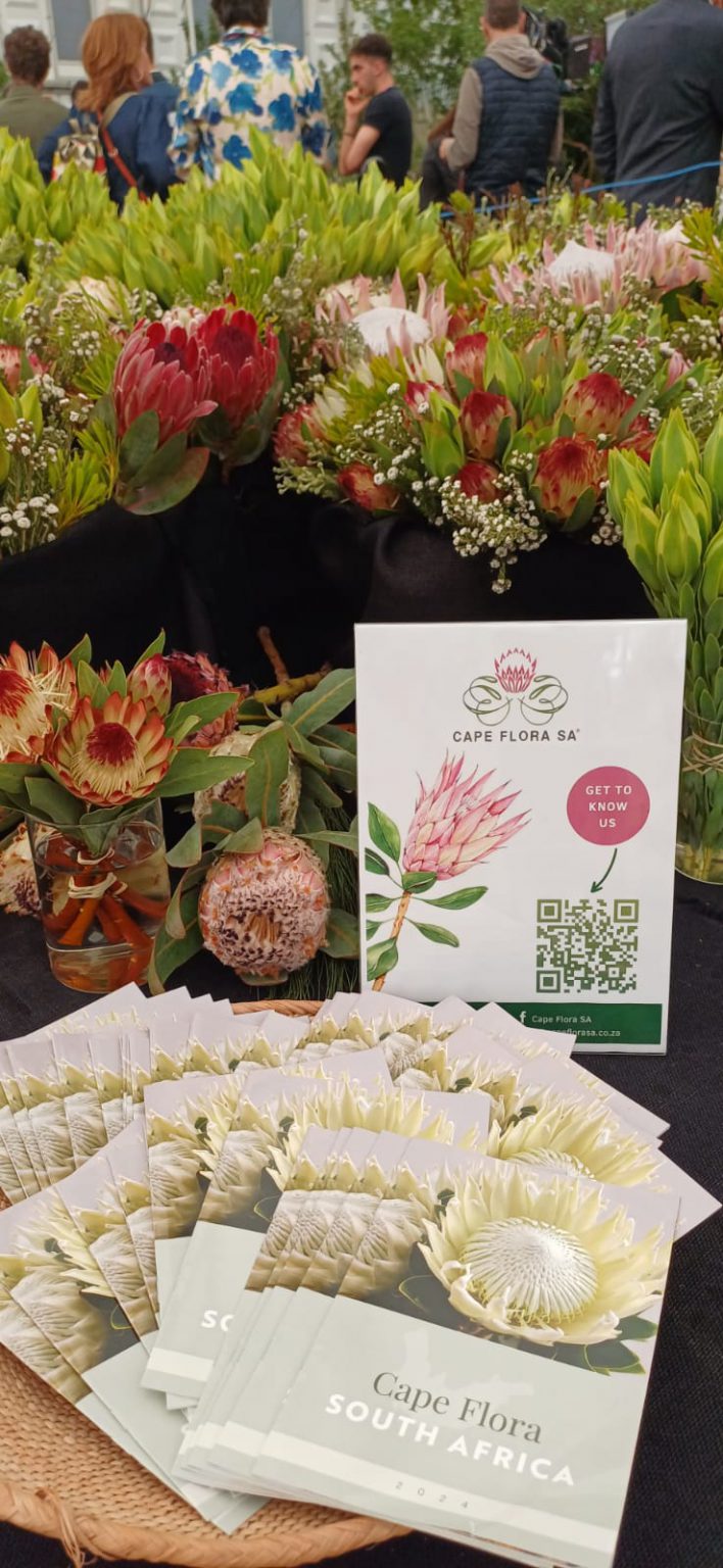 South African Flora blooms again at the Chelsea Flower Show in London ...