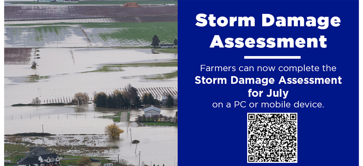 Storm Damage Assessment - Western Cape Department of Agriculture