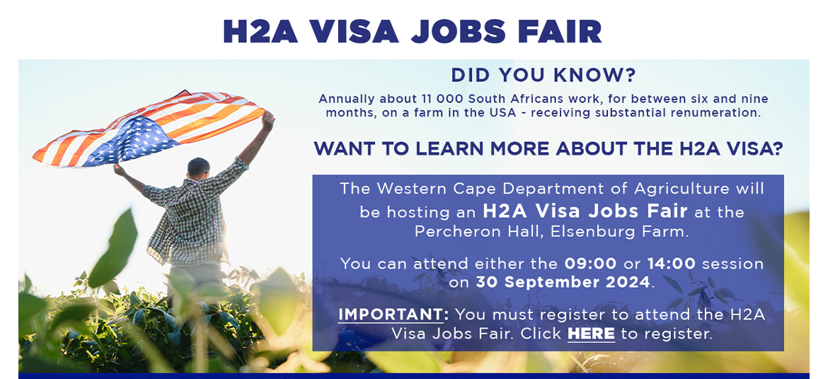 H2A VISA JOBS FAIR - Western Cape Department of Agriculture